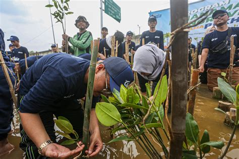 Kontribusi Atasi Perubahan Iklim
