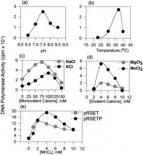 Biochemical Characterization Of The Hbv Dna Polymerase The Hbv Dna