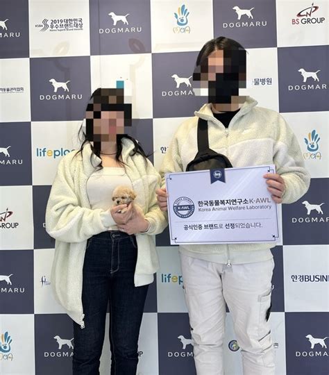 말티푸 뽀또 치와와키우는방법 코카스파니엘키우는방법 폼스키키우는방법 폼치키우는방법 폼피츠키우는방법 푸숑키우는방법 노르웨이숲키우는방법 뱅갈키우는방법 샴키우는방법 셀커크렉스키우는