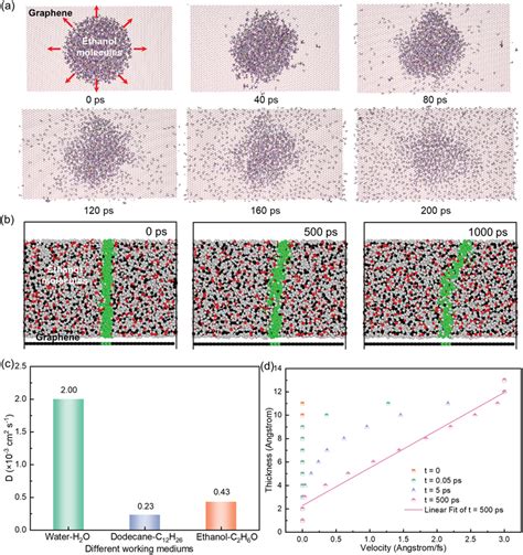 Diffusion And Flow Simulation Of Working Medium Molecules On Graphene