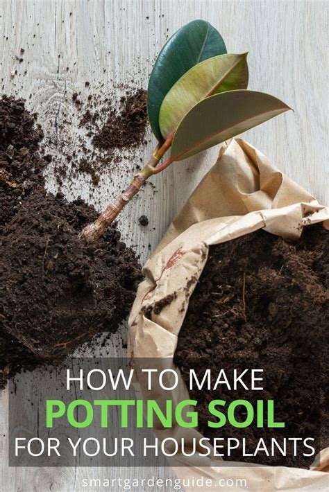 Best Potting Soil For Indoor Plants 2023 Artofit