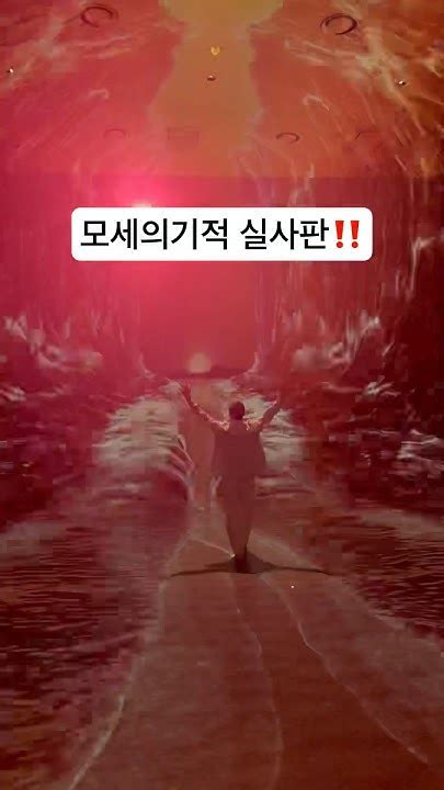인스파이어 르스페이스 미디어아트 전시🥹 Youtube