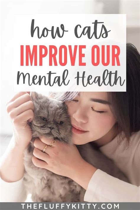 7 Amazing Mental Health Benefits Of Having Cats The Fluffy Kitty