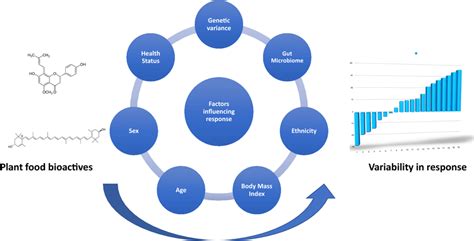 Factors Influencing Inter Individual Variability In Cardiometabolic