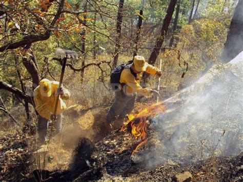 Chiapas 8º Lugar En Superficies Afectadas Por Incendios