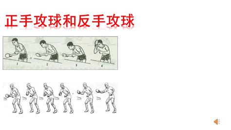 体育 B正手攻球和反手攻球 教学课件24张 课件下载预览 二一课件通