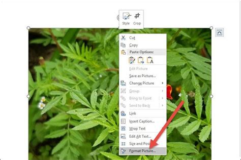 How To Edit Images In Microsoft Word A Quick Guide Windows Bulletin