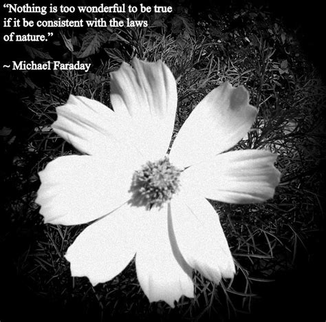 Quote Of The Week Michael Faraday Anali S Next Amendment