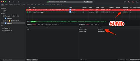 app crash if we download big 300 mb file · issue 57 · proxymanapp atlantis · github