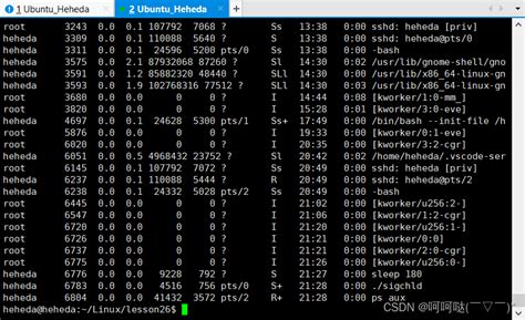 基于linux下的高并发服务器开发（第二章） 227 Sigchld 信号 Csdn博客