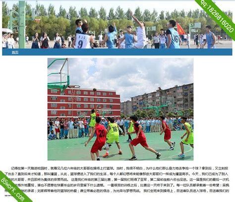 校园篮球主题大学生网页制作作业成品模板 学生网页设计制作作业 网页制作作业成品 网页设计作业 计算机毕业设计 php作业 asp作业 网页模板 帮我作业网