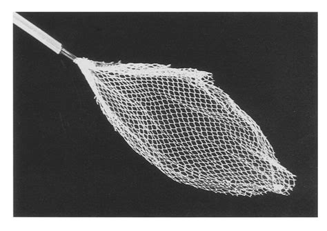 The Disposable Roth Retrieval Net Visualized In The Open Position