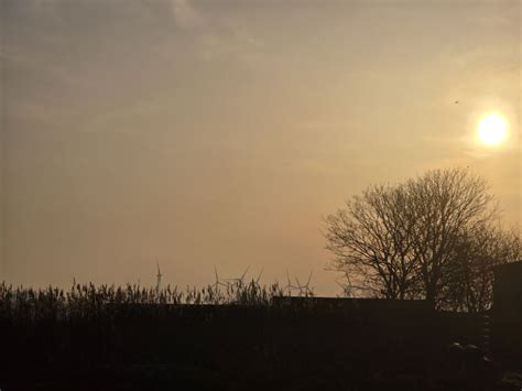 ⛔️ In Principle We Do Not Need An International Womens Day ️ ️ We