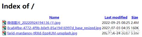 Unraid Webdav Nas