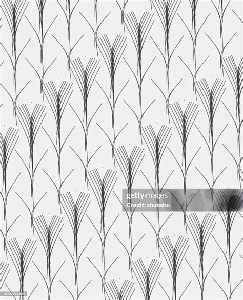 Black And White Curve Line Pattern Texture Background High Res Vector Graphic Getty Images
