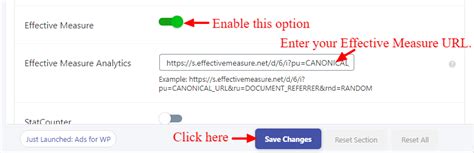 How To Add Effective Measure Analytics In Amp Amp Tutorials
