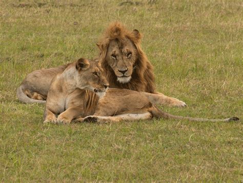 Discover Hidden Gems Of Rwanda Safari Holidays