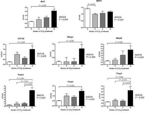 Differential Gene Expression Related To Ccl 4 Administration Over 12 Weeks Download Scientific