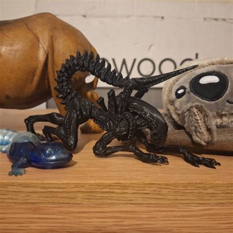 Gpu Display Stand Gpu Holder Gpu Decor Etsy