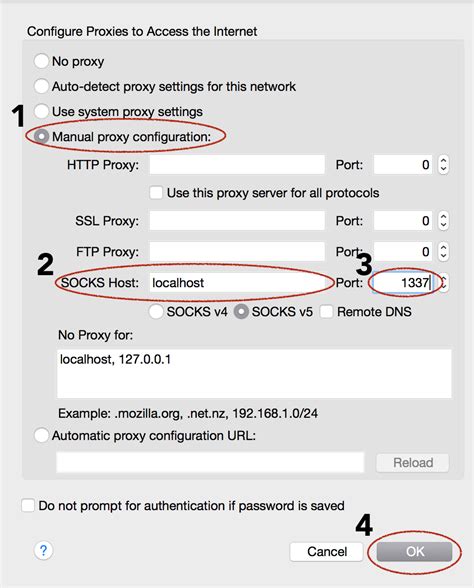 Ssh Proxy Setup Earapo