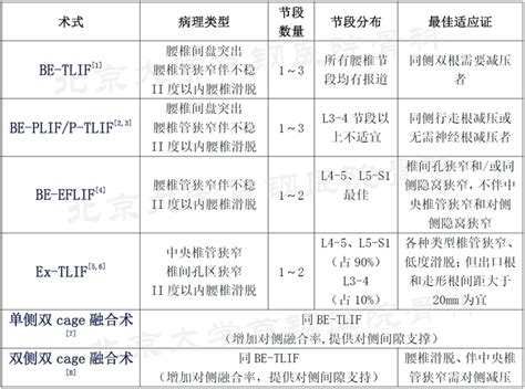 UBE BESS下腰椎融合术的种类溯源及对比下 骨科在线