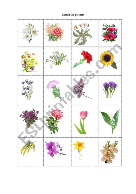 Flowers Matching Game Esl Worksheet By Lyljane