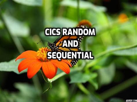 Cics Sequential And Random Access Srinimf