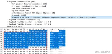 Ikev2报文解析 Csdn博客
