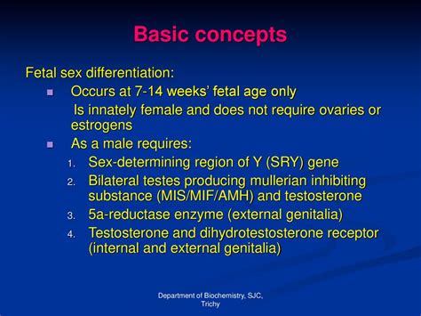 Class Ii Msc Unit 4 Prepared By A Benno Susai Ppt Download