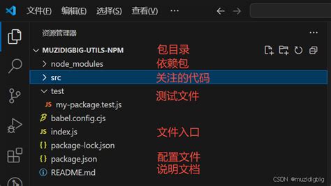 开发并发布一个属于自己的包（npm）发布npm包 Csdn博客