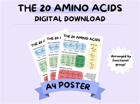 Amino Acids A4 Poster Biology Study Poster Etsy Functional Group