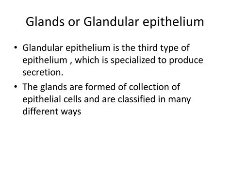 SOLUTION Exocrine Glands Classification Structure Functions Studypool