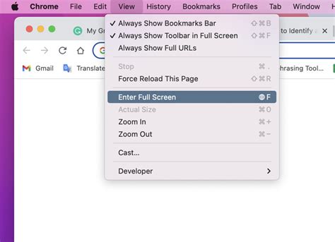 How To Go Full Screen And Exit Full Screen On Mac