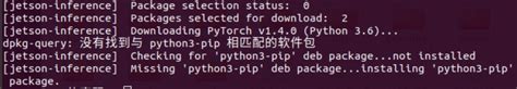 安装jetson inference 自动下载模型，满速下载起飞，解决下载模型被墙问题 inference 下载模型 csdn博客