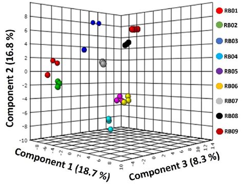 Partial Least Square Discriminant Analysis Pls Da Plot Based On The