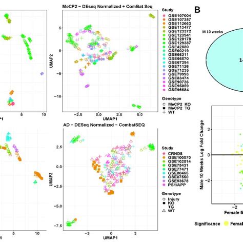 Technical Variationbatch Effect Analysis A Umap Visualization Of
