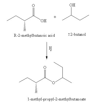 Pure R Methylbutanoic Acid Can Be Esterified With Racemic Butan Ol In An Acidic Solution