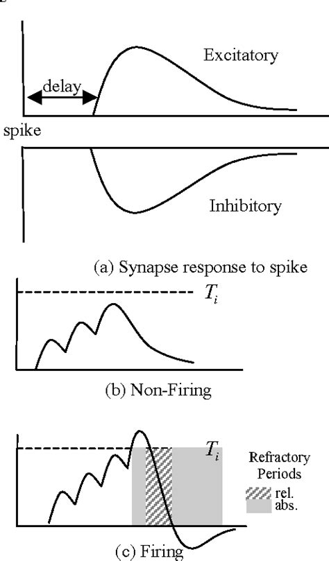 Figure 1 From Fuzzification Of Spiked Neural Networks Semantic Scholar