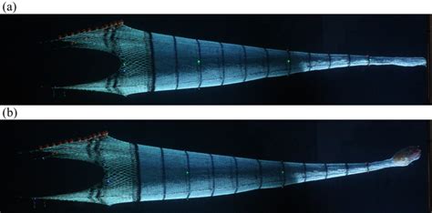 Trawl Model With Liner In The Flume Tank Of Tumsat A Model Without Download Scientific