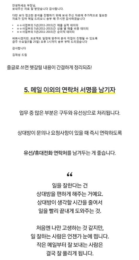 이슈 유머 회사에서 알려주지 않는 이메일 쓰는 법 
