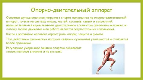 Влияние спорта на организм человека презентация онлайн