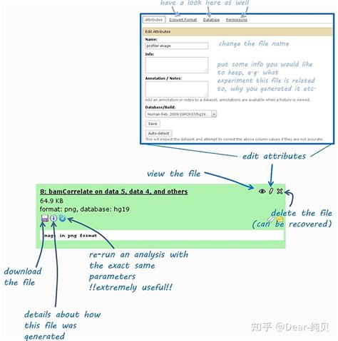生信小白学生信——chip Seq和cutandtag数据分析 知乎