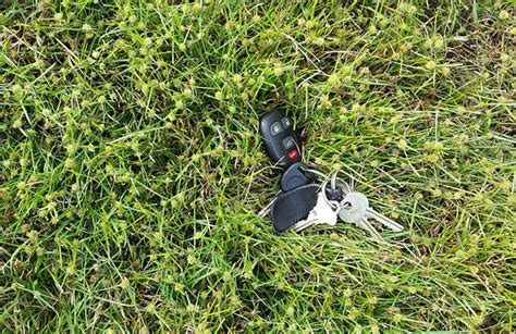 False Green Kyllinga Control In Cool Season Turf Golfdom