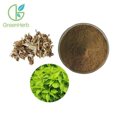 China Stinging Nettle Leaf Extract Manufacturers Suppliers And Factory Wholesale Price