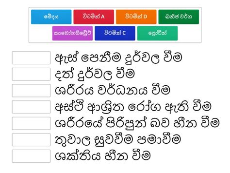 පරිසරය 5 ශ්‍රේණිය හිමාෂි ශාන්තප්‍රිය ර ශාන්ත ලූක්ස් විද්‍යාලය