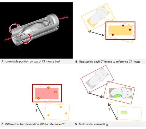 Multimodal Cross Device And Marker Free Co Registration Of Preclinical Imaging Modalities