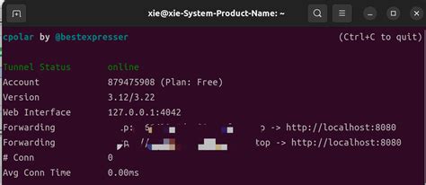 本地nodejs服务实现外网访问cpolar 二级域名收费 Csdn博客
