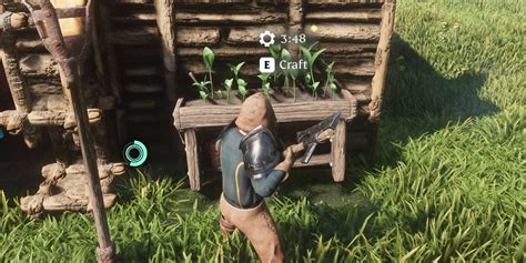 Where To Find Flax In Enshrouded