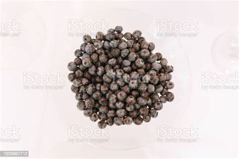 블루베리 흰색 테이블 배경에 절연 유리에 Vaccinium Corymbosum 0명에 대한 스톡 사진 및 기타 이미지 0명