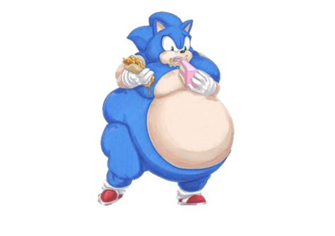 Fat Sonic The Hedgehog  Fat Sonic The Hedgehog S Tenor